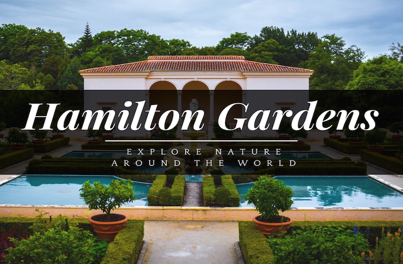 Hamilton Gardens New Zealand - How to Enjoy the Beauty of Nature?