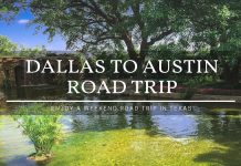 Dallas CityPASS - Awesome Savings and Amazing Attractions